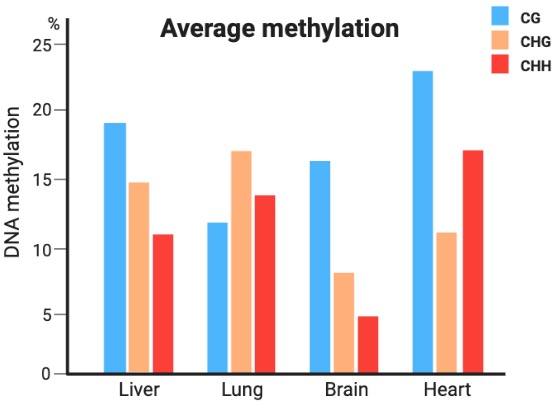 Allele-Specific DNA Methylation Database